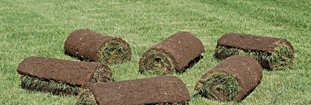 Anasac Jardín Línea Profesional | Anasac Jardín Profesiolaes